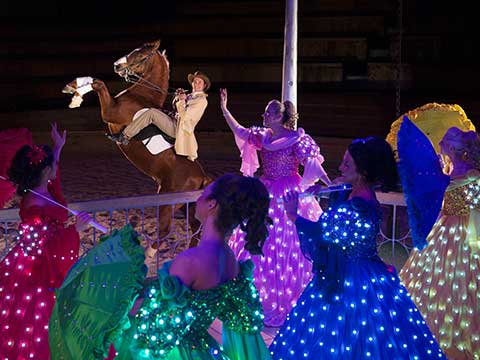 Dolly Parton's Dixie Stampede Dinner Attraction