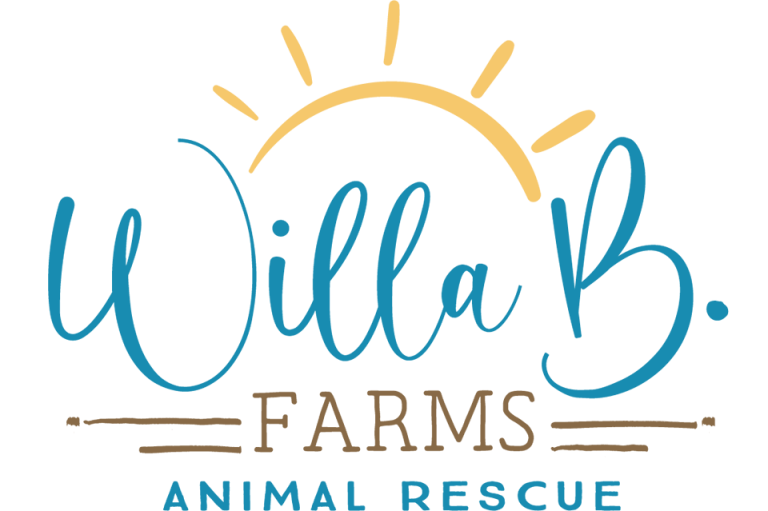 Dolly Parton Launches New Doggy Parton Pet Collection at Petco