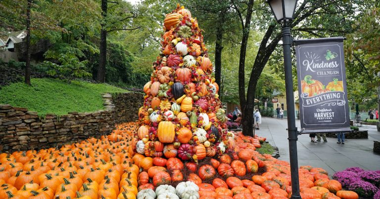 Autumn Comes Alive at Dollywood's Harvest Festival